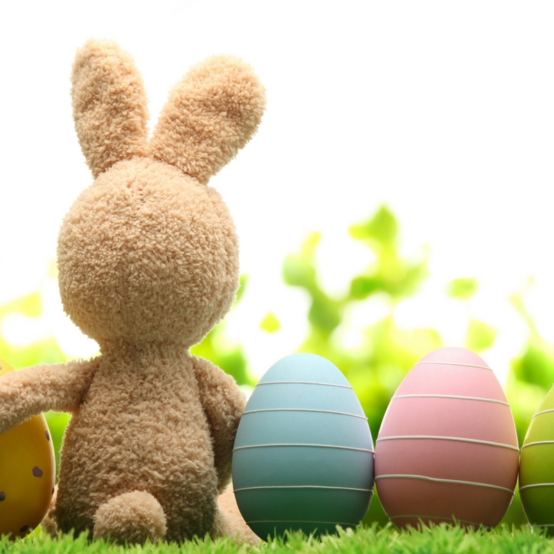 Easter Bunny April fools | Easter Egg Prank Ideas | That Silly Rabbit