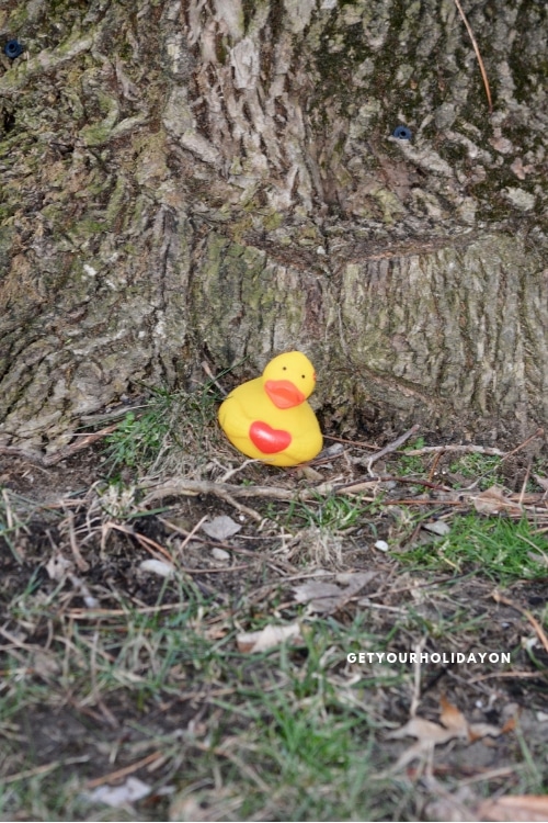 Carnival Rubber Duck Game | Get Your Holiday On