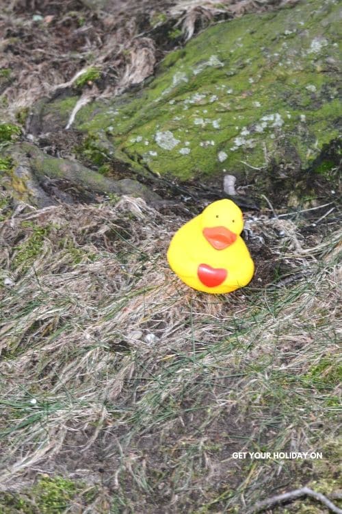 Carnival Rubber Duck Game | Get Your Holiday On