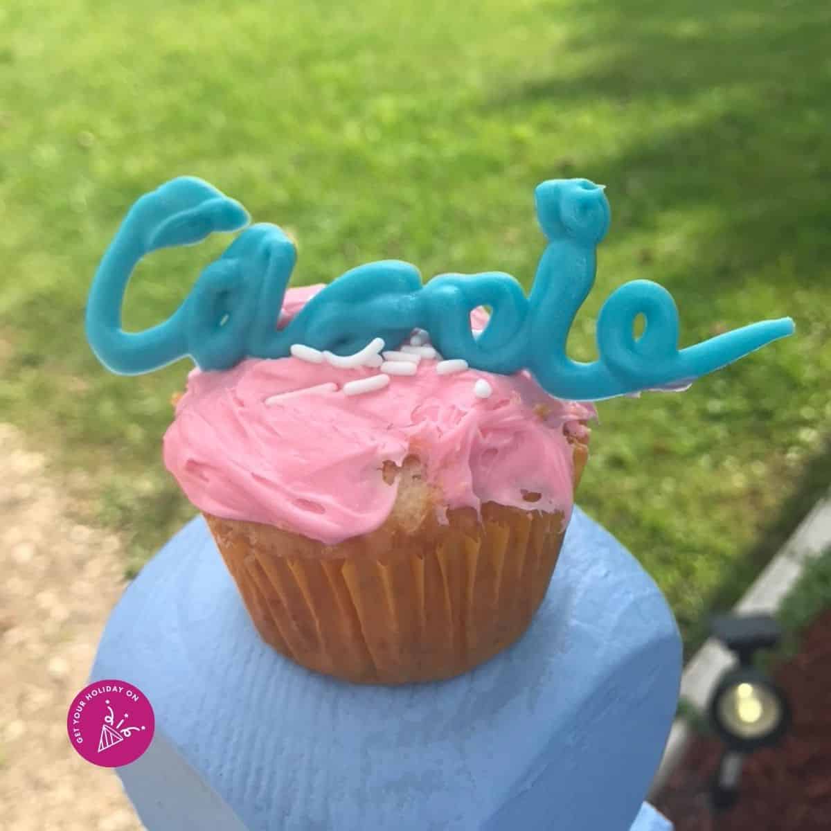 Chocolate Letters: A Unique and Creative Cupcake Decorating Idea - Get ...