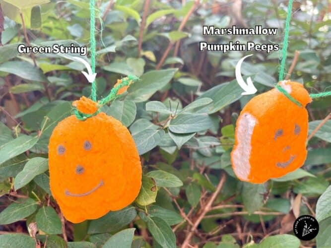 Pumpkins on a String Party Game | Get Your Holiday On