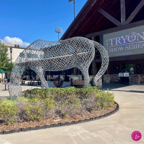 Discover Tryon International Equestrian Center | Get Your Holiday On
